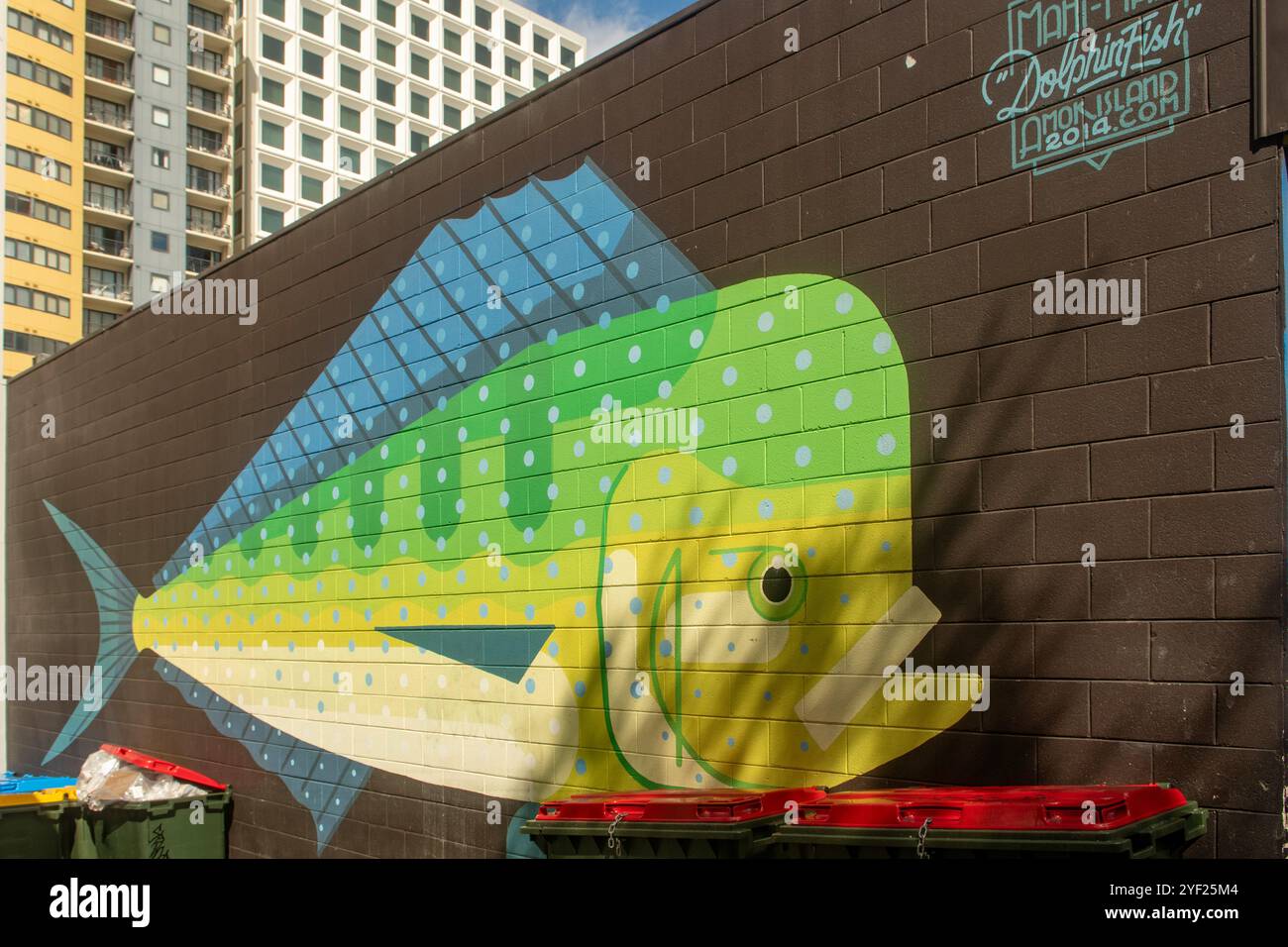 Dolphin Fish Street Art by Amok Island, Perth, Western Australia ...