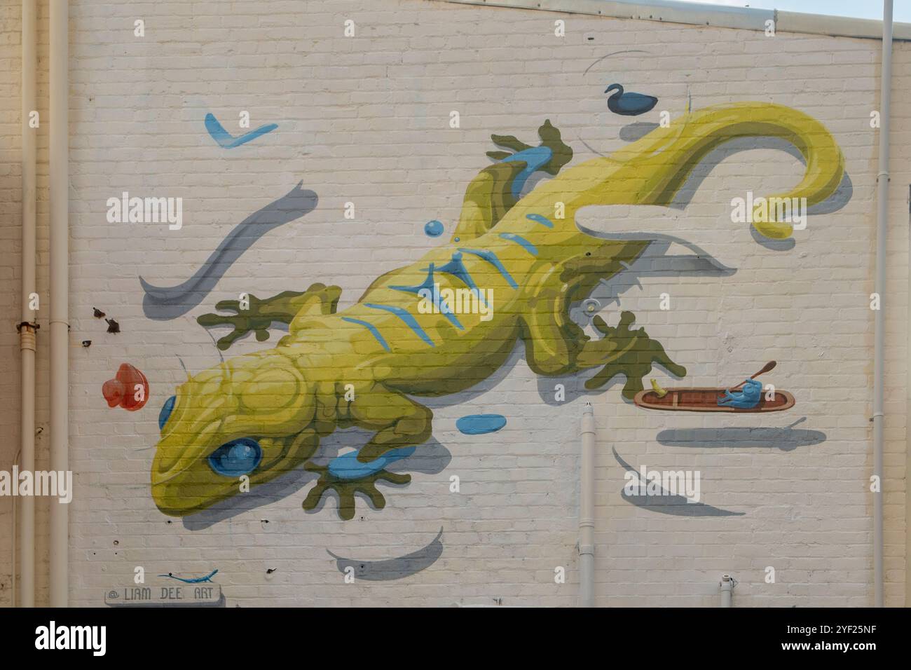 Street Art by Liam Dee, Perth, Western Australia, Australia Stock Photo ...