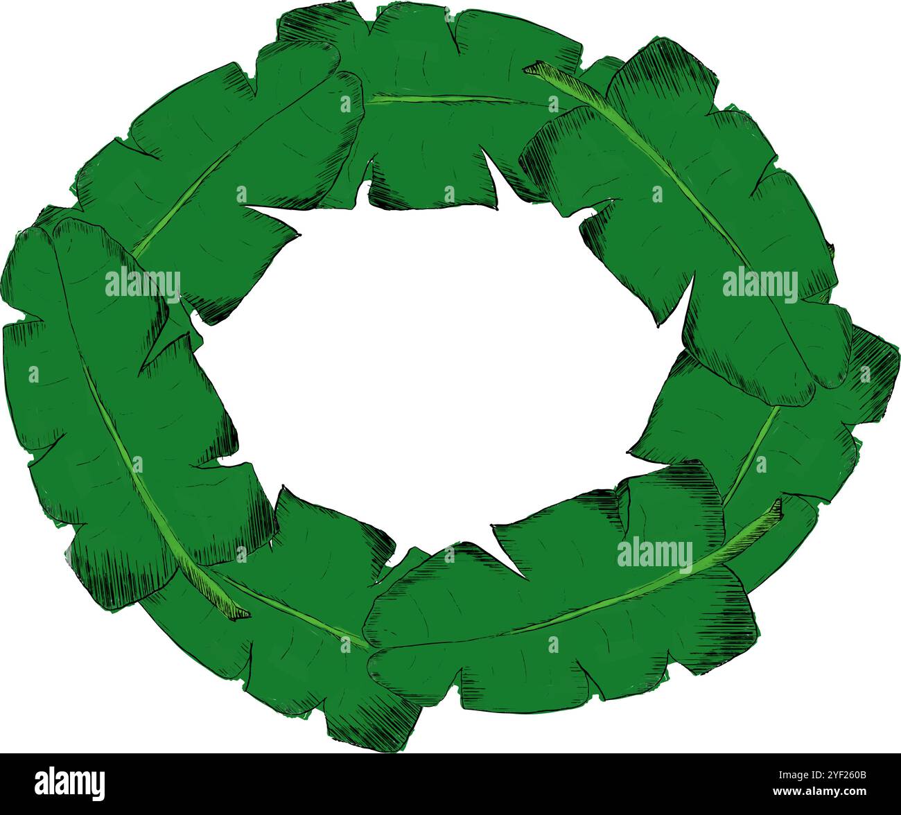 Tropical jungle oval ellipse frame with forest liana leaves. Graphic ...