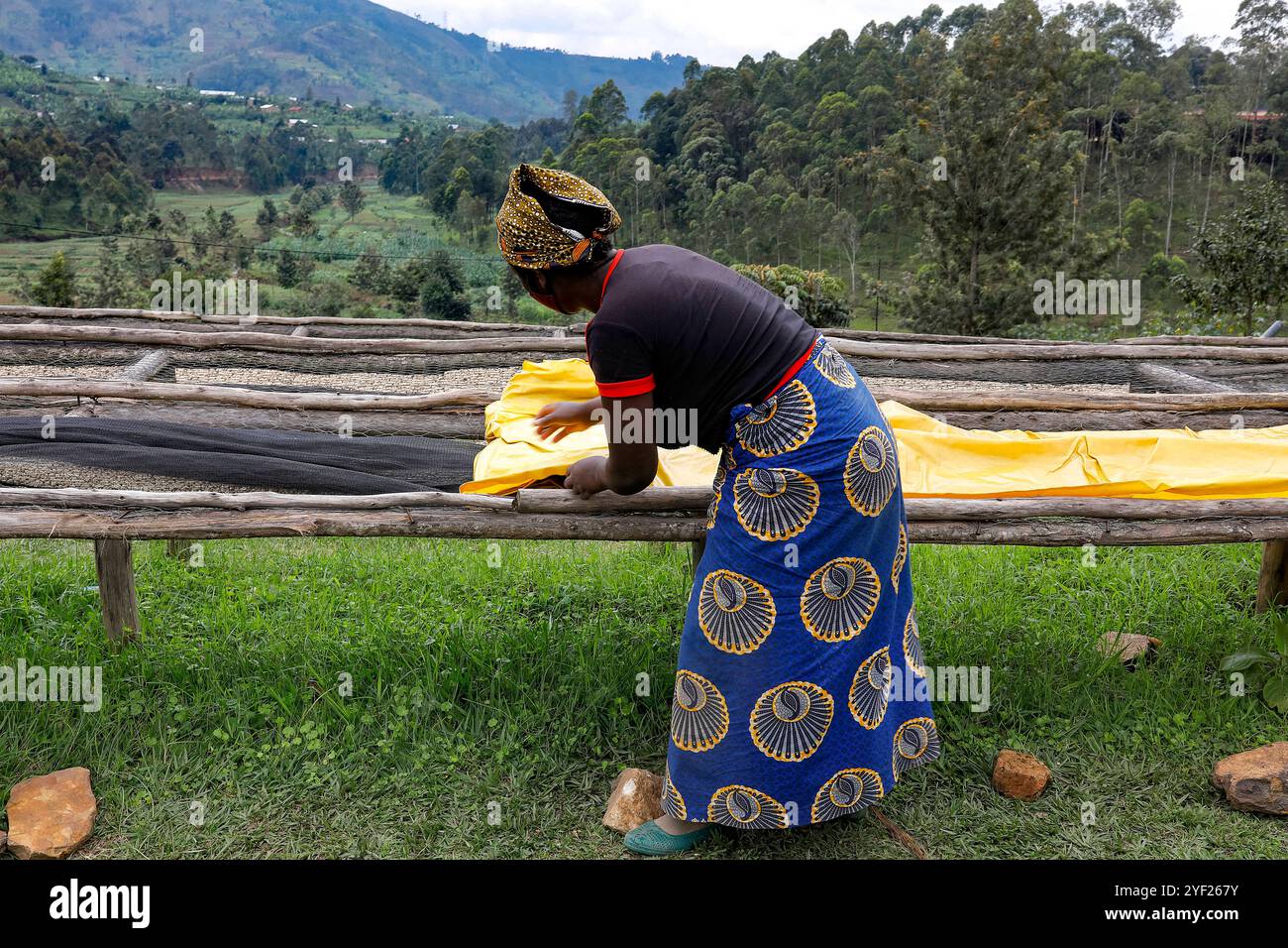 Abakundakawa coffee grower s cooperative, Minazi coffee washing station ...