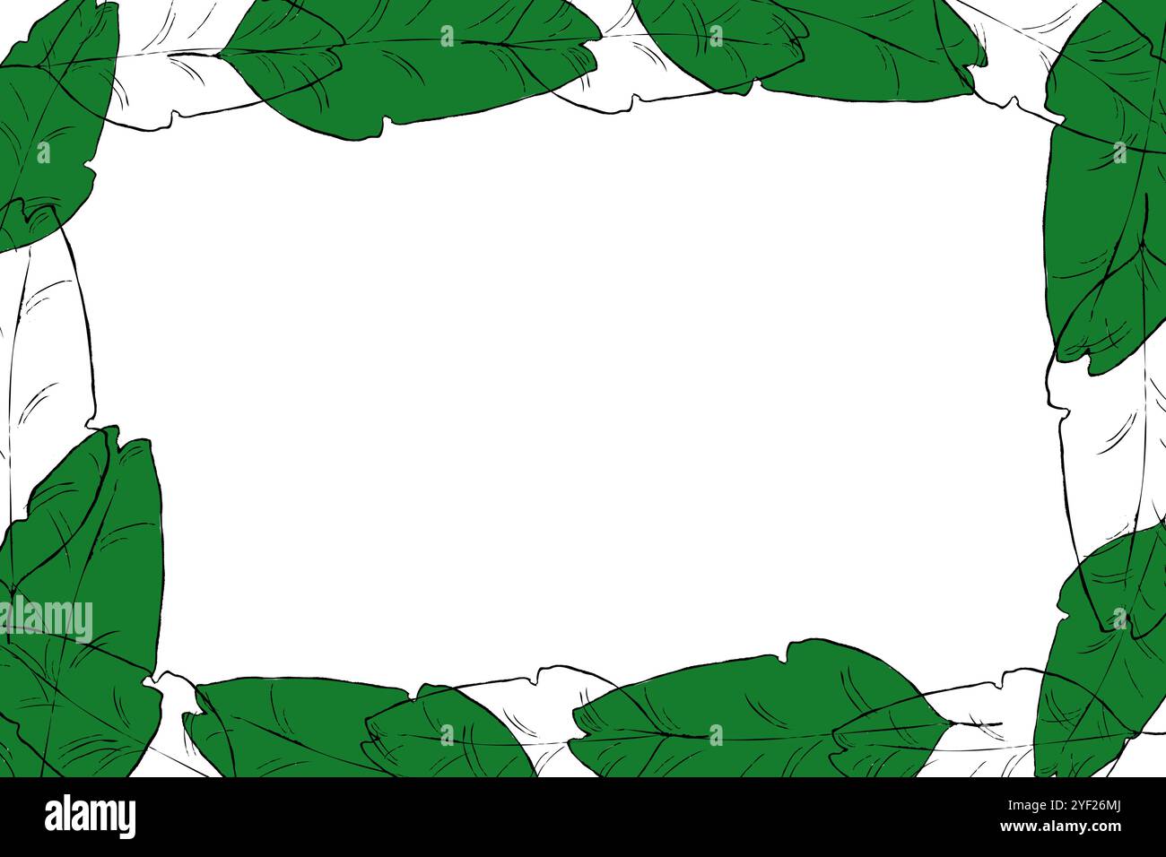 Hand drawn graphic leaves of tropical plants rectangle frame template ...