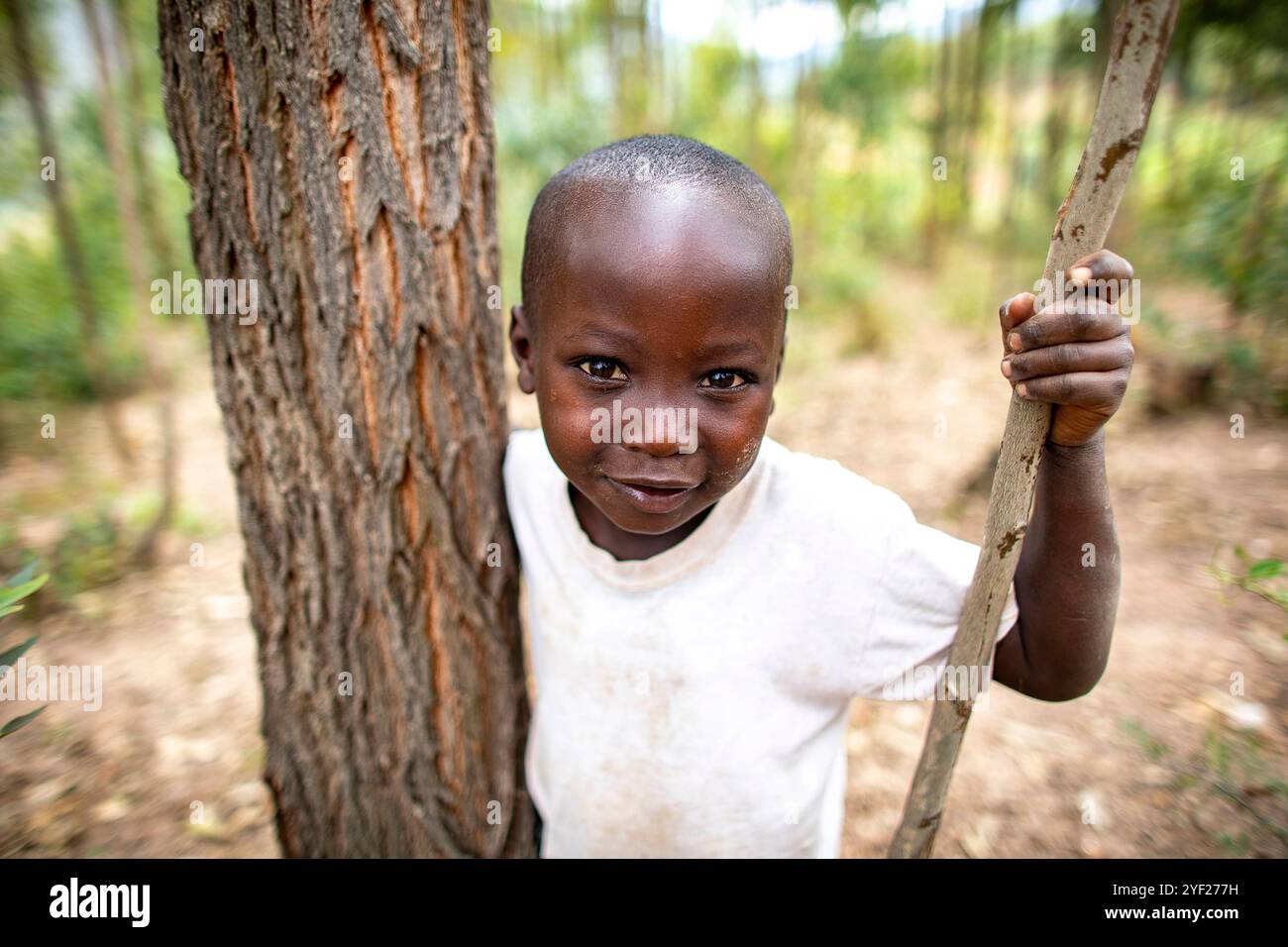 Boy standing in a forest in southern Rwanda Boy standing in a forest in ...