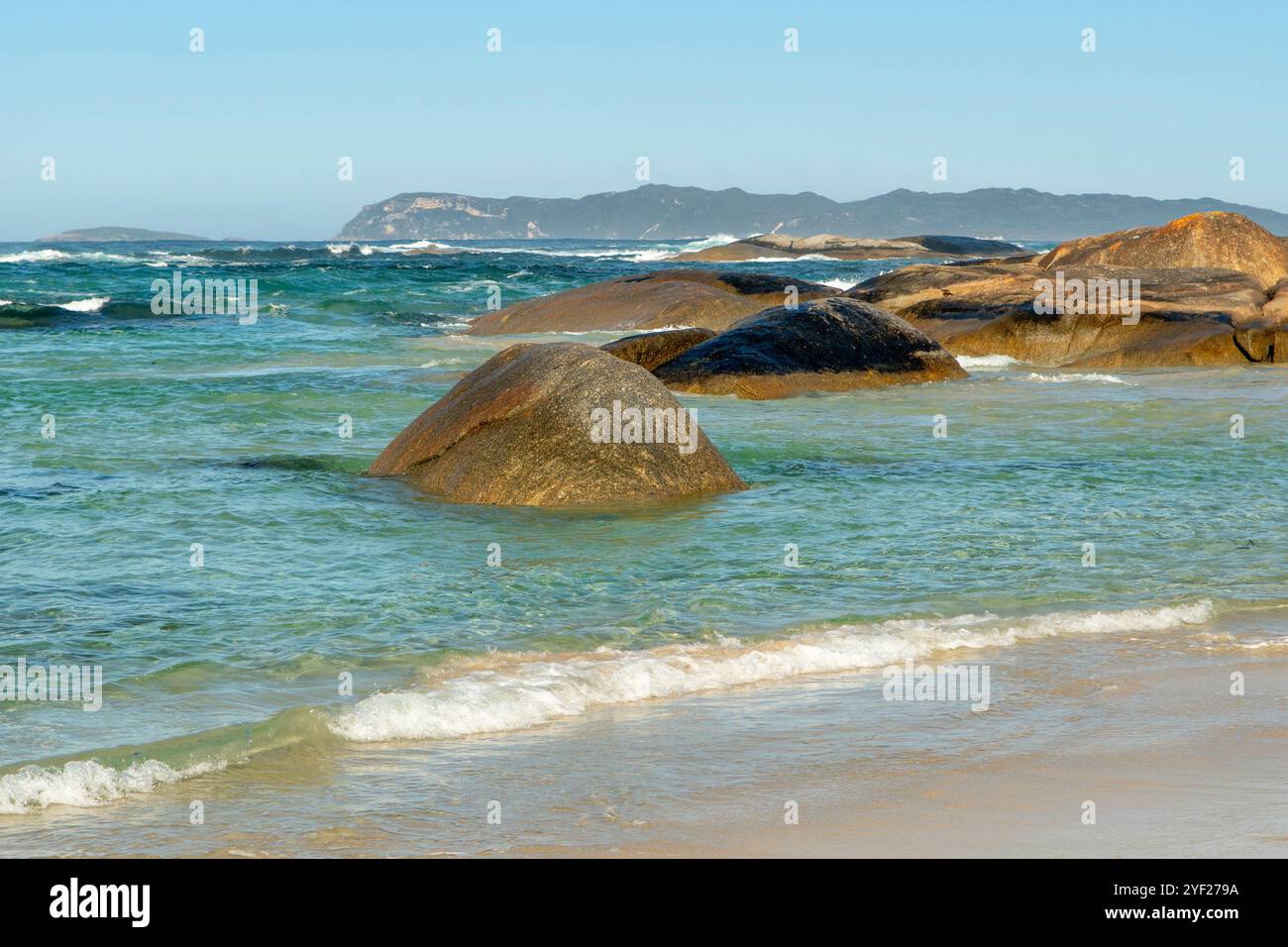 Australian greens hi-res stock photography and images - Alamy