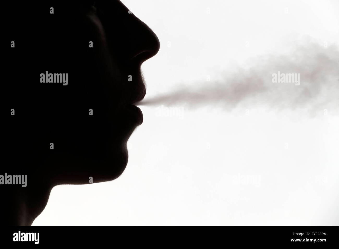 Profile Silhouette of a Man Smoking on White Background. Profile ...
