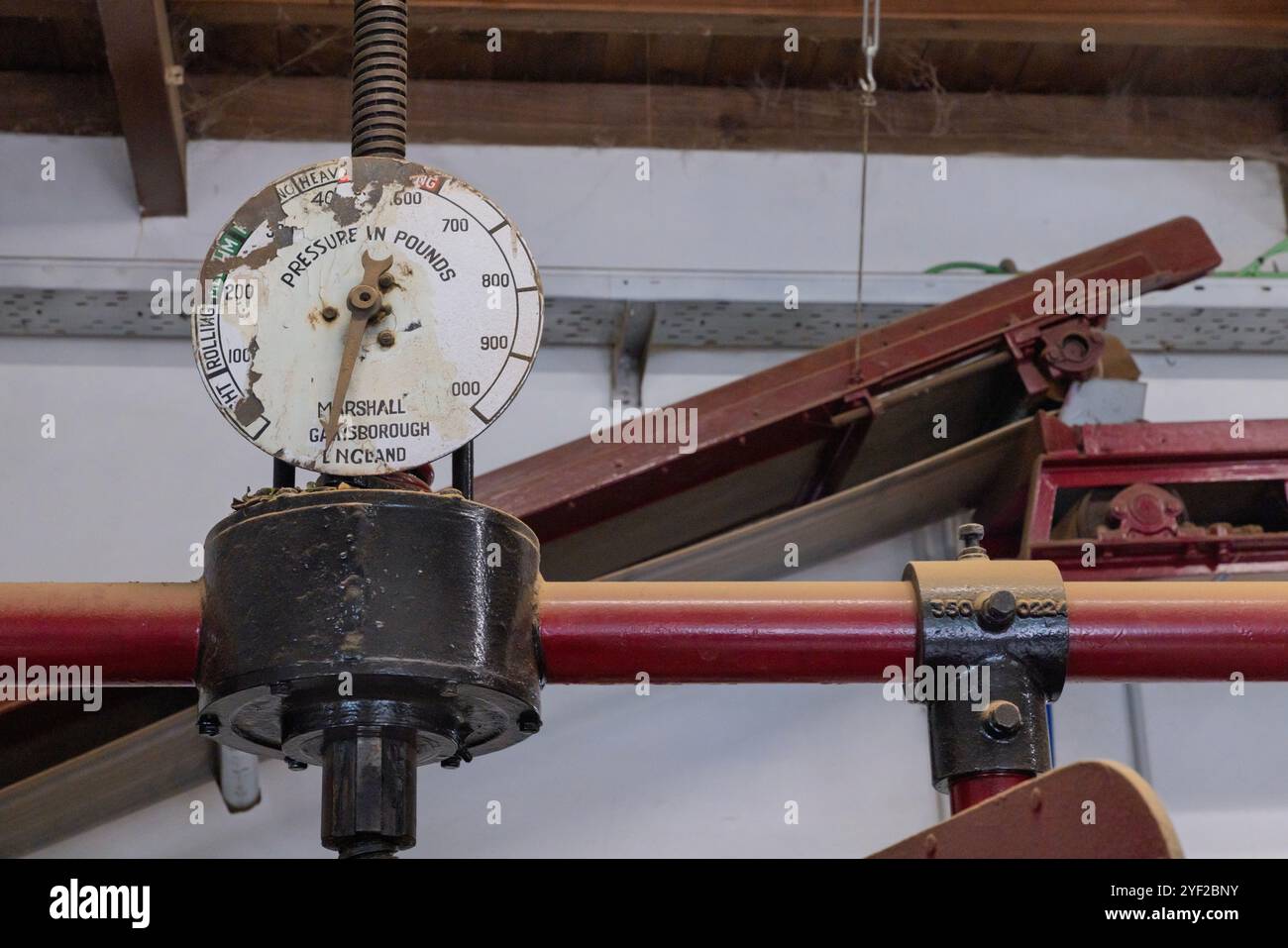 Gorreana is a tea company headquartered in São Miguel Island, Azores ...