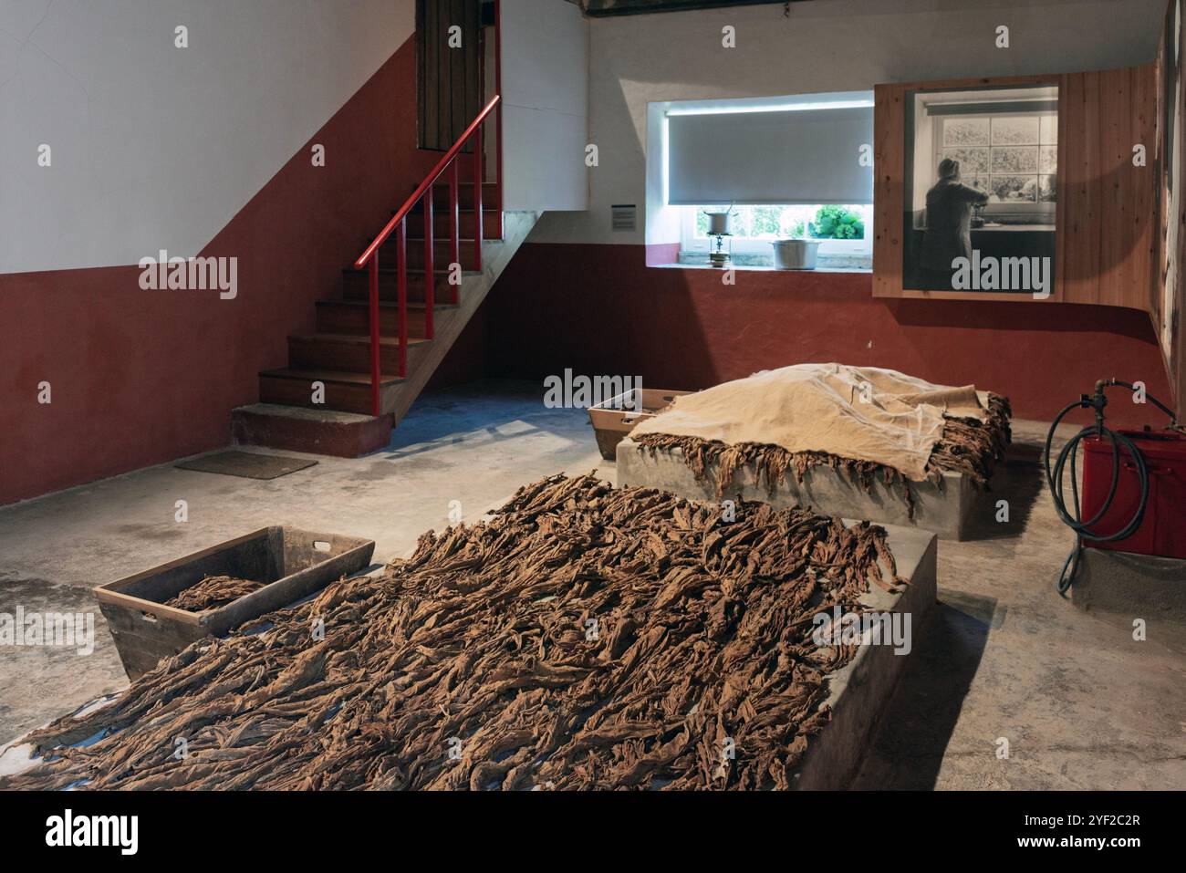 Housed within a historic factory, the Maia Tobacco Museum offers a ...