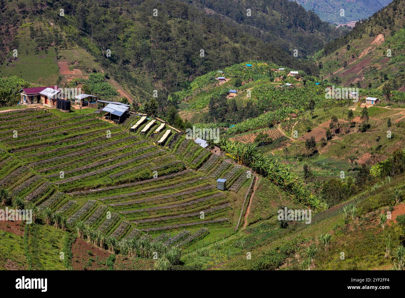 Abakundakawa coffee grower s cooperative, Minazi coffee washing station ...
