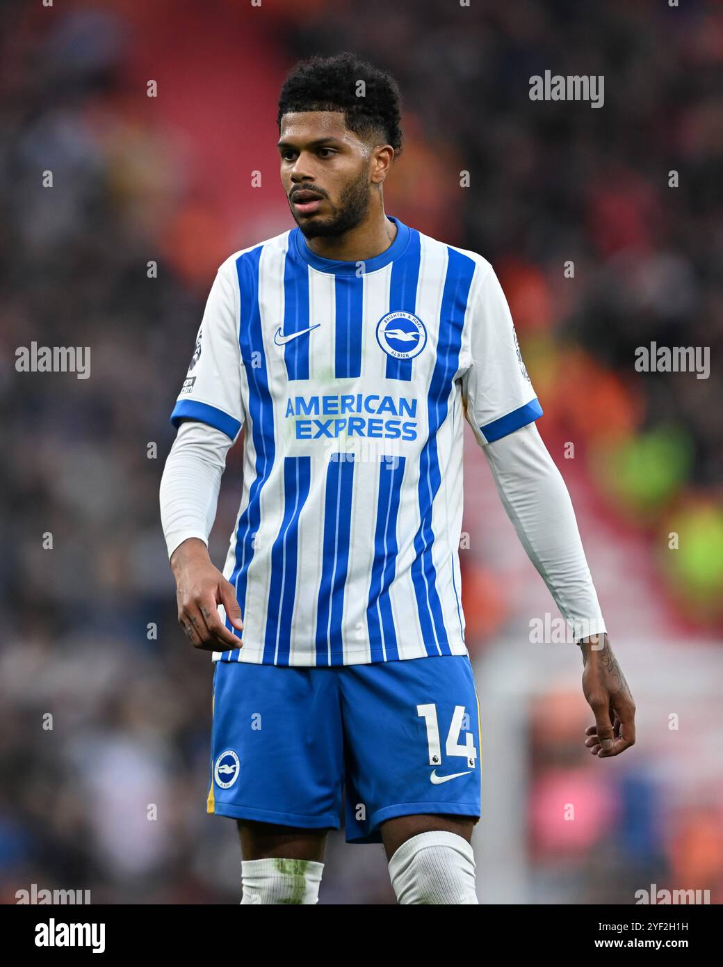 Rutter brighton hi-res stock photography and images - Alamy