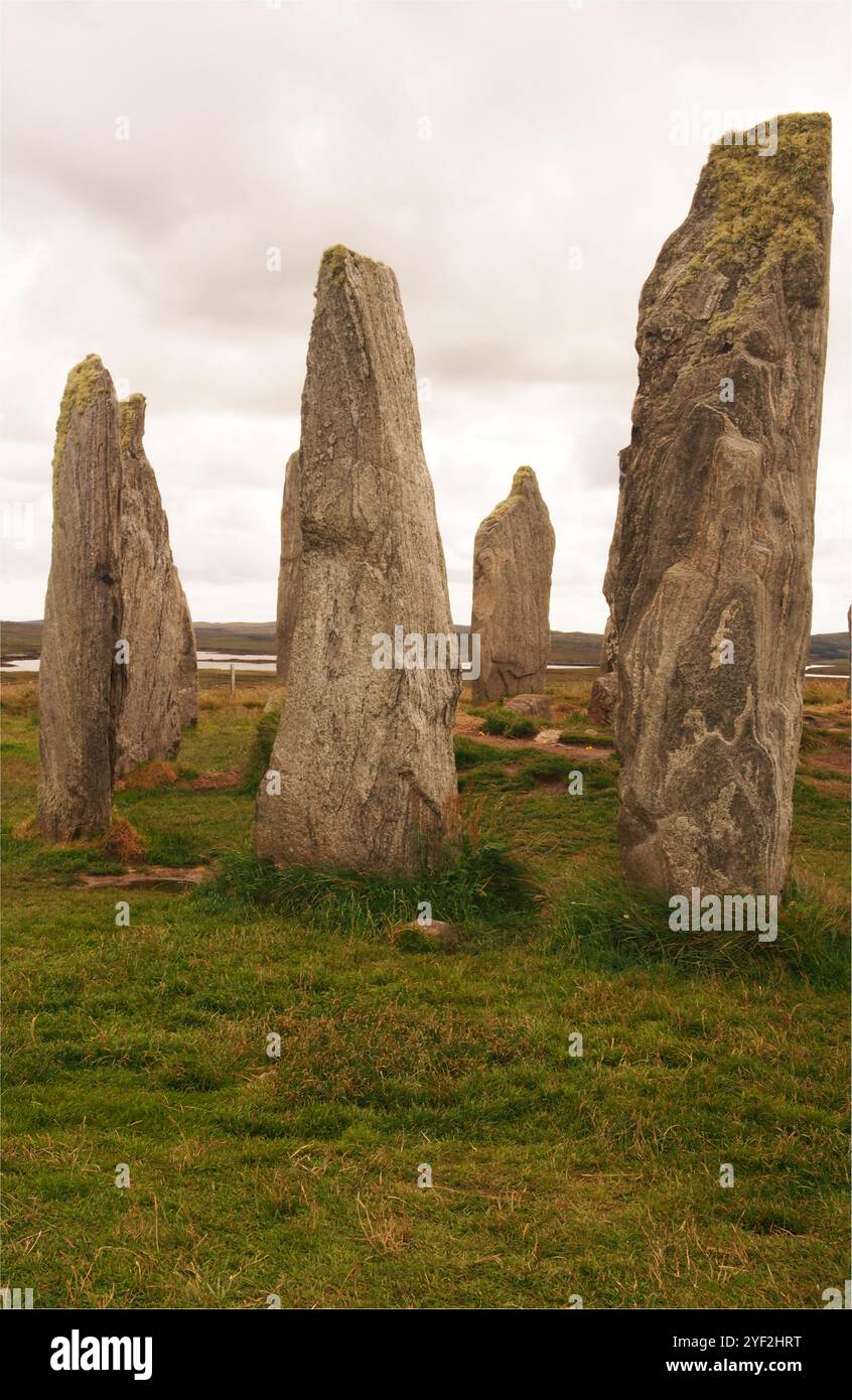 The ancient standing stones, late neolithic period, at Calanais, Isle ...