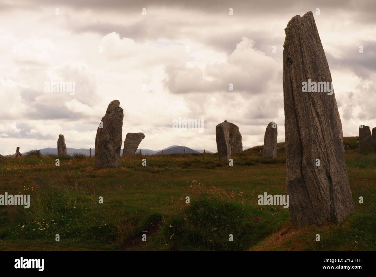 The ancient standing stones, late neolithic period, at Calanais, Isle ...