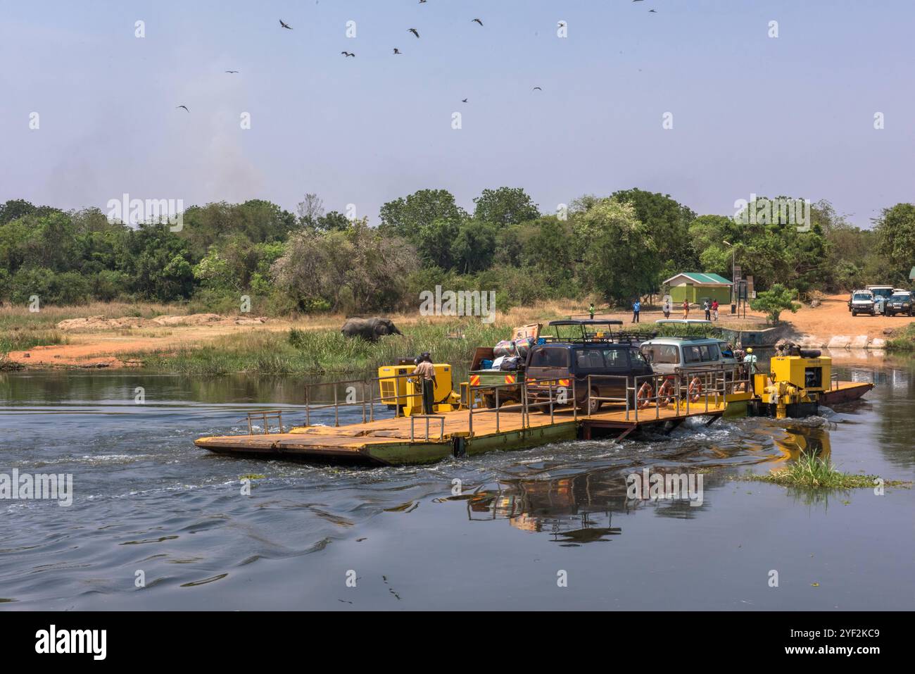 Parra ferry crossing the Victoria Nile river, at Murchison Falls ...