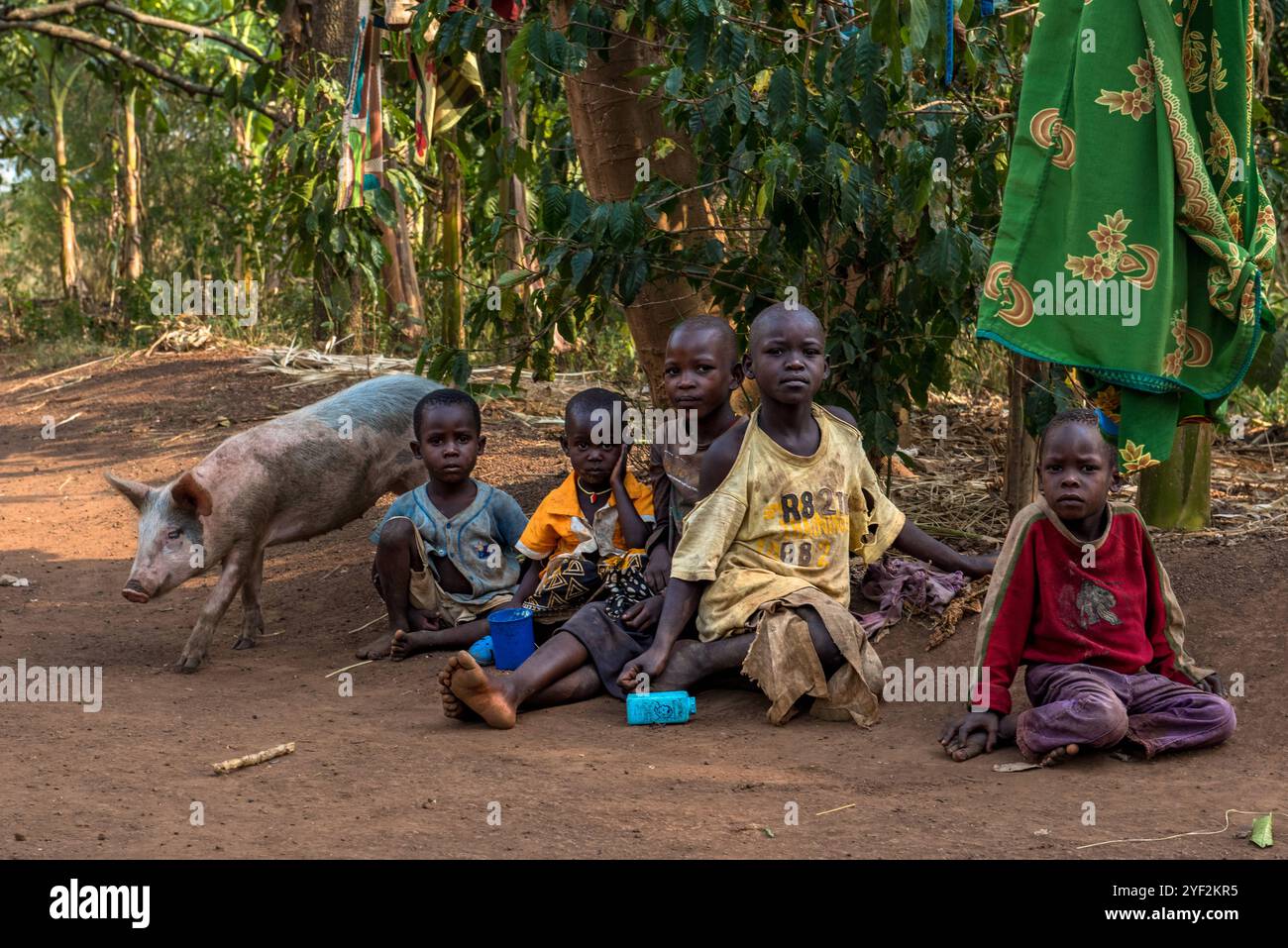 Village boys from a remote village, Western region, Uganda. Village ...