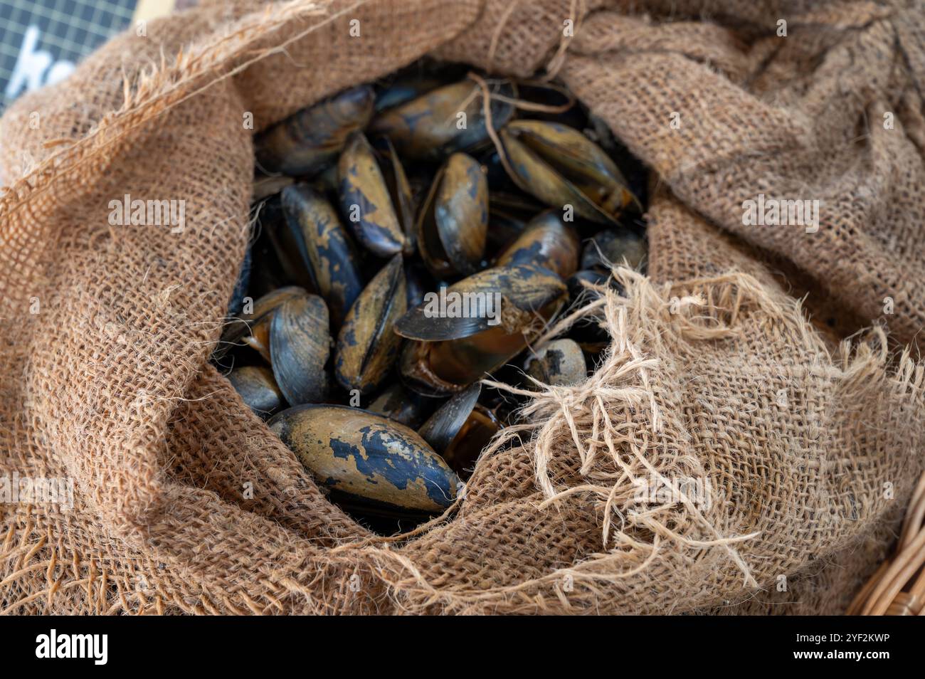 Assortment of fresh daily catch of prawns, seashells, molluscs on ice ...