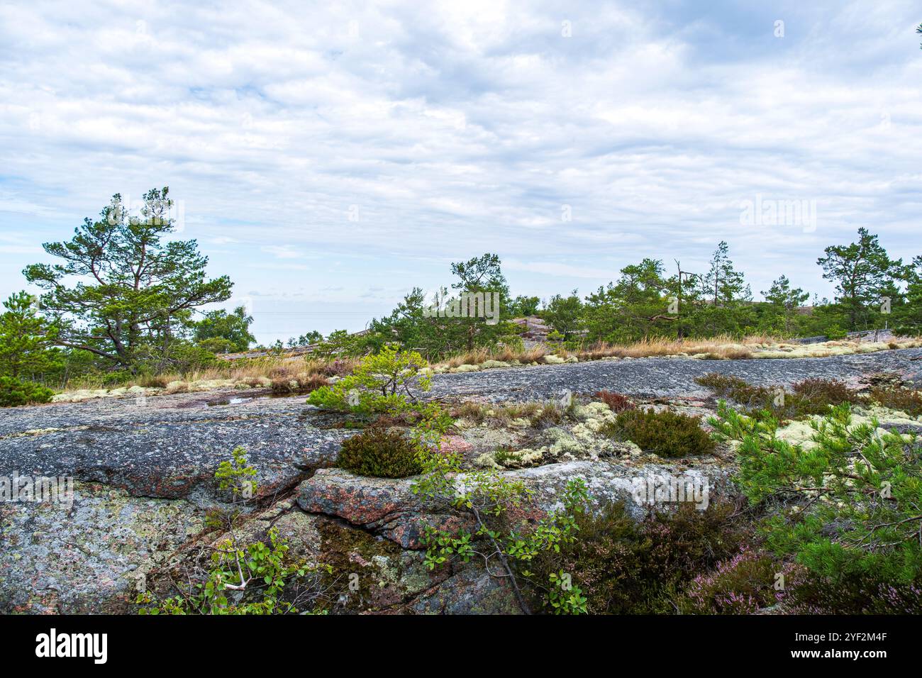 Granite rocks and vegetation on the Blue Maiden, an island and national ...