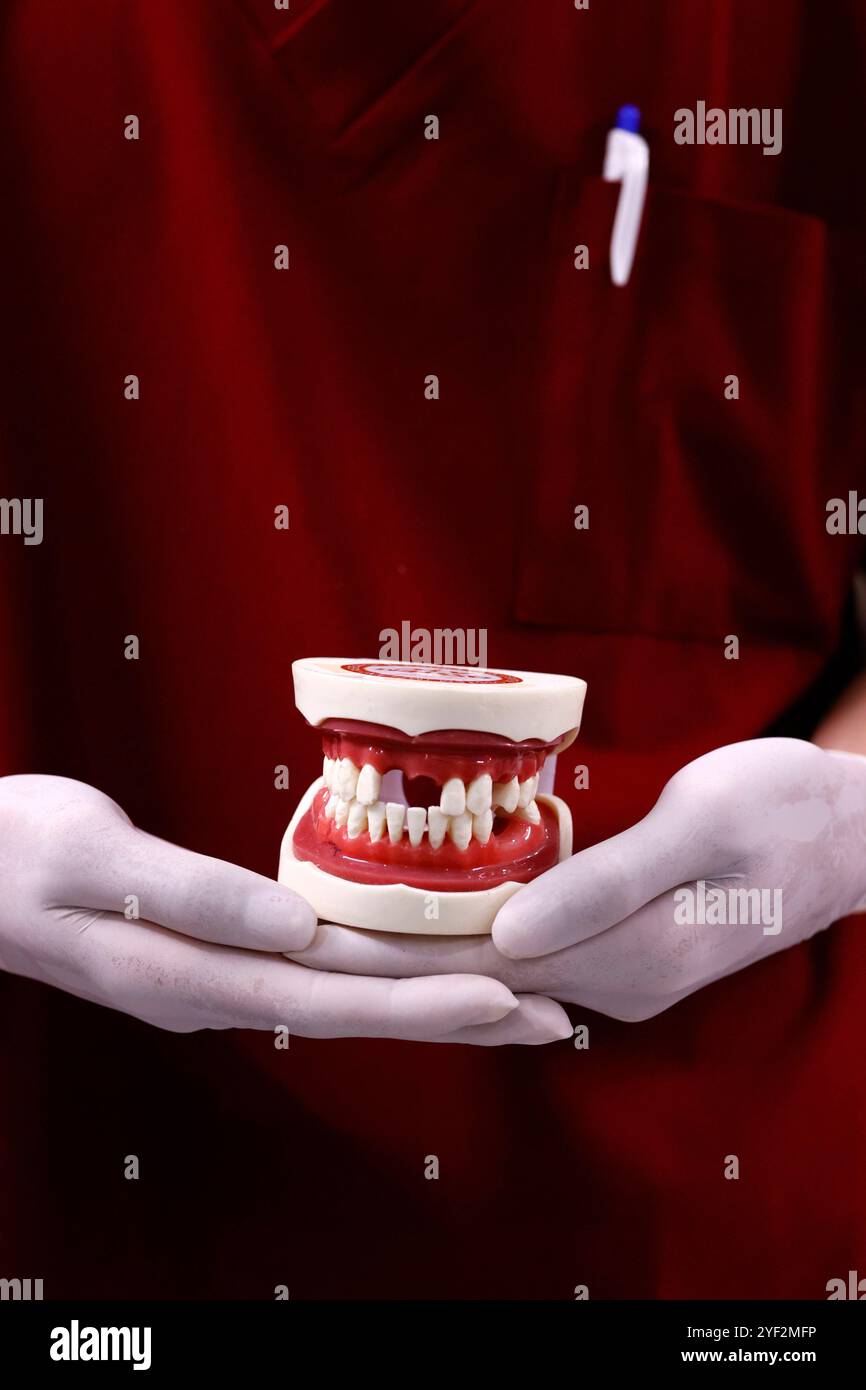 Orthodontist. Dental prosthesis, artificial tooth, prosthetic, hands ...