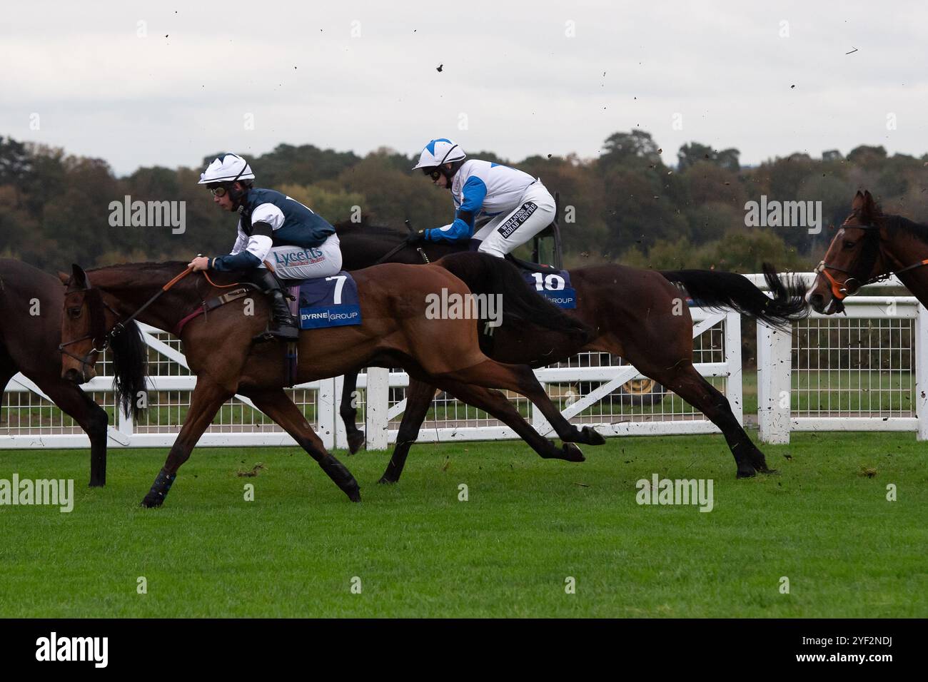 Ascot, Berkshire, UK. 2nd November, 2024. MARTATOR (No 7) ridden by ...