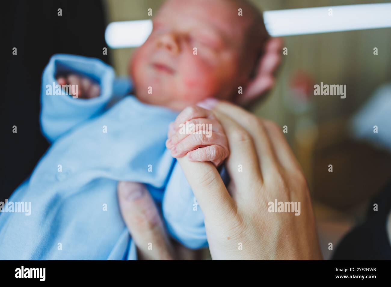 Newborn baby's hand close-up. A child's hand with a small palm Stock ...