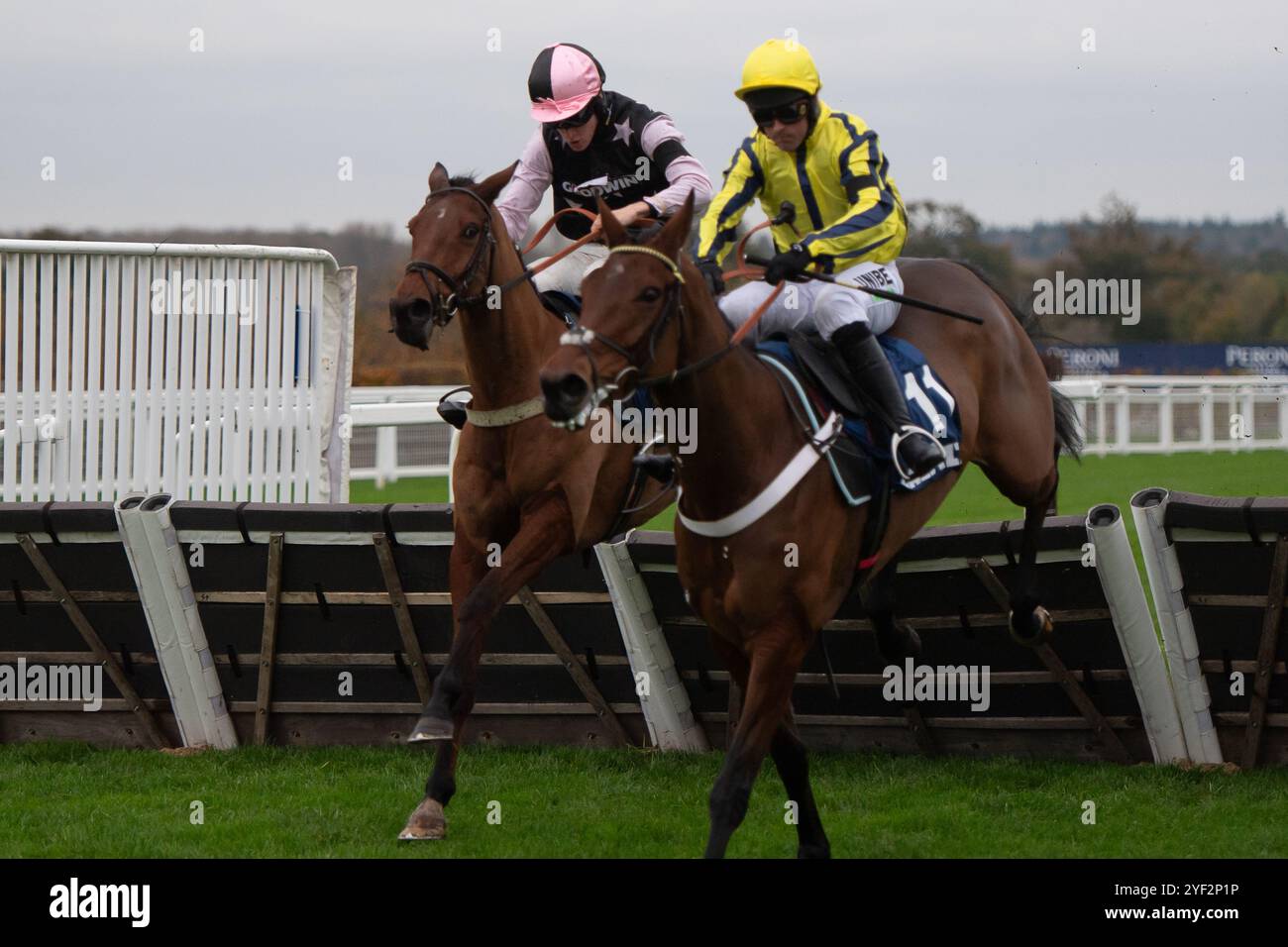 Ascot, Berkshire, UK. 2nd November, 2024. OUR CHAMP (L) ridden by ...