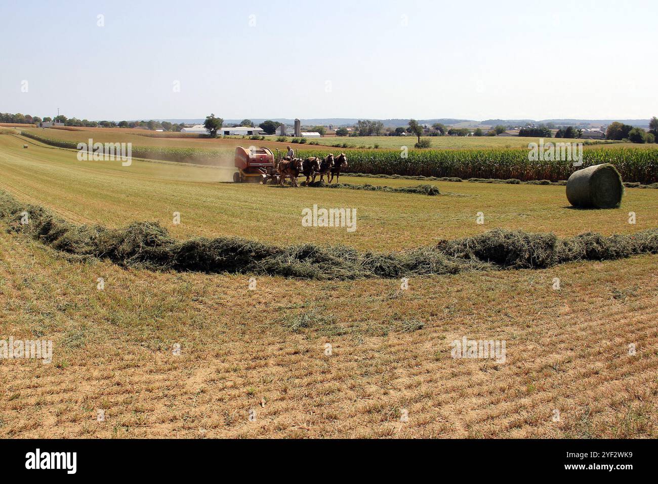 Pennsylvania Dutch farmer, wearing a straw hat, drives a horse-drawn ...