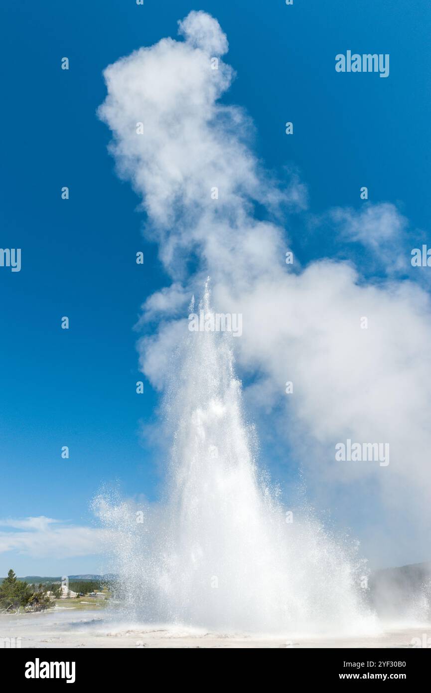 Eruption of the Great Fountain Geyser in Yellowstone National park ...