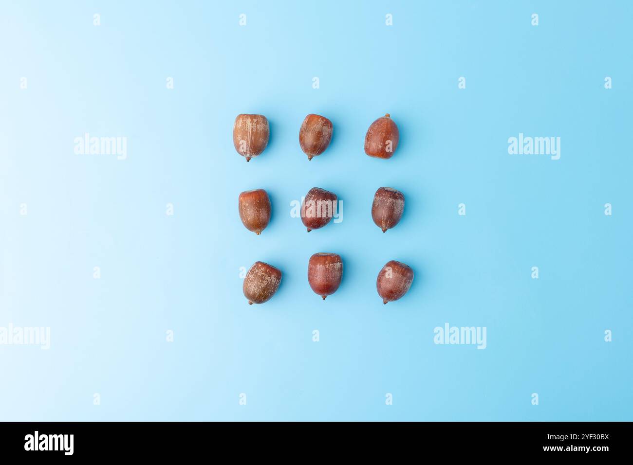 acorns without caps, blanks for crafts on blue background, top view ...