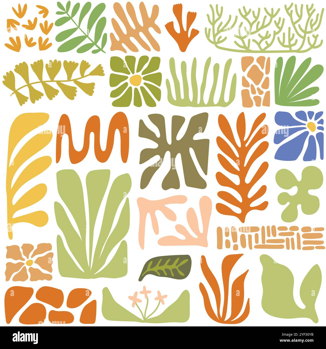 Set of different organic shaped graphic elements of earthy colors ...