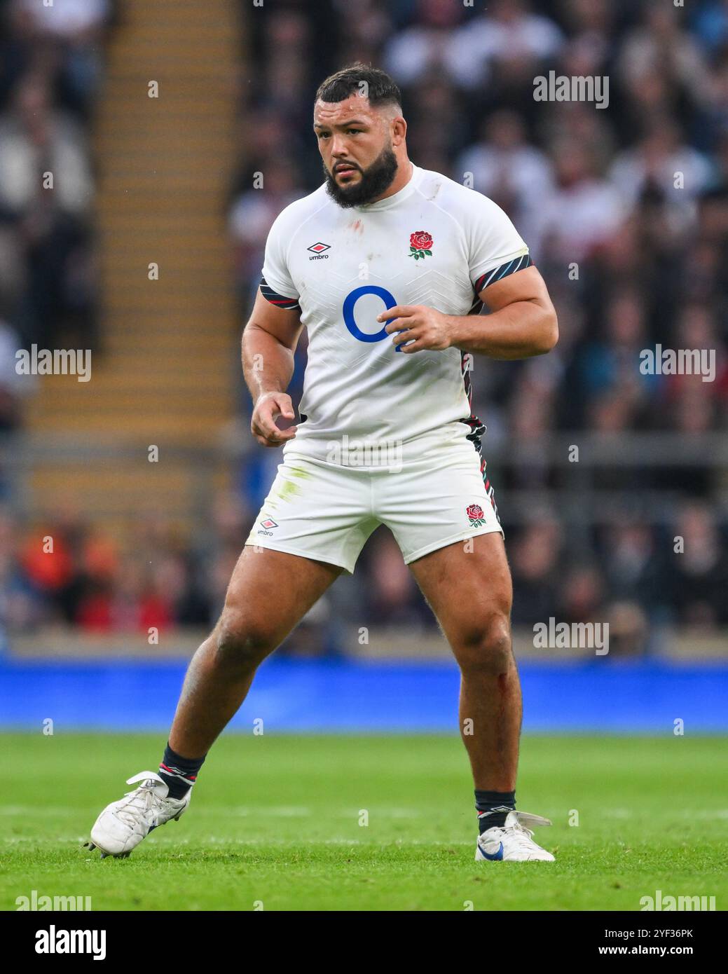 Ellis Genge of England during the Autumn Nations Series match England ...