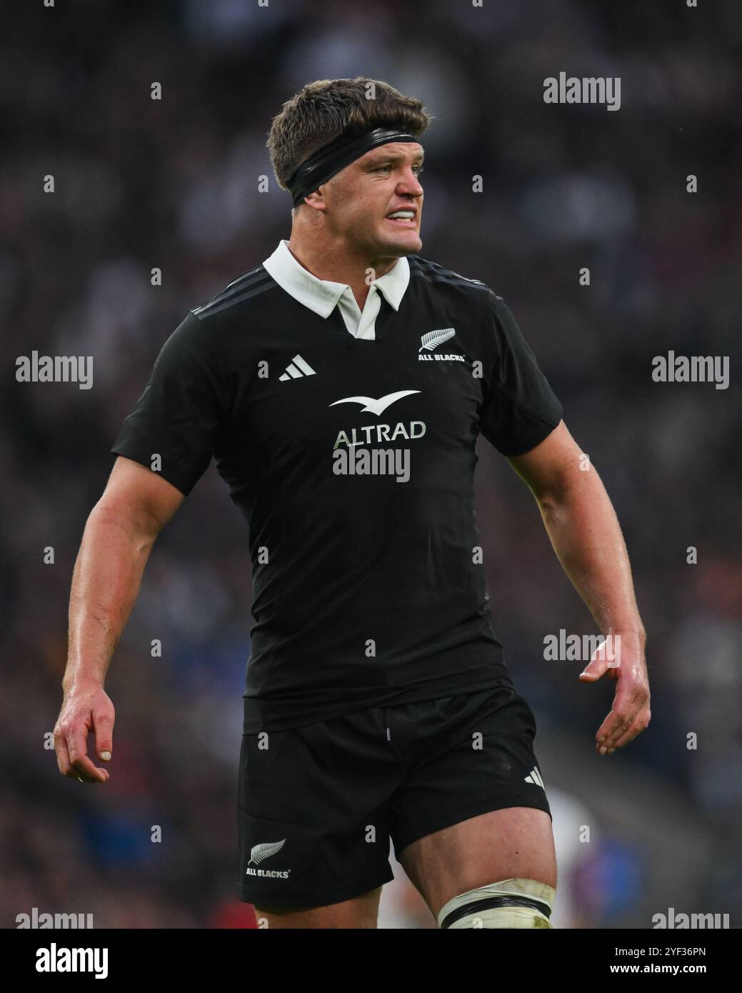 Scott barrett hi-res stock photography and images - Alamy