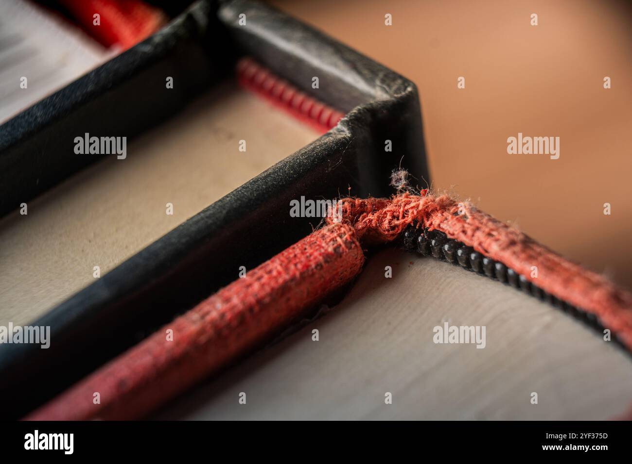 Detailed close-up of a classic book's spine showcasing educational ...