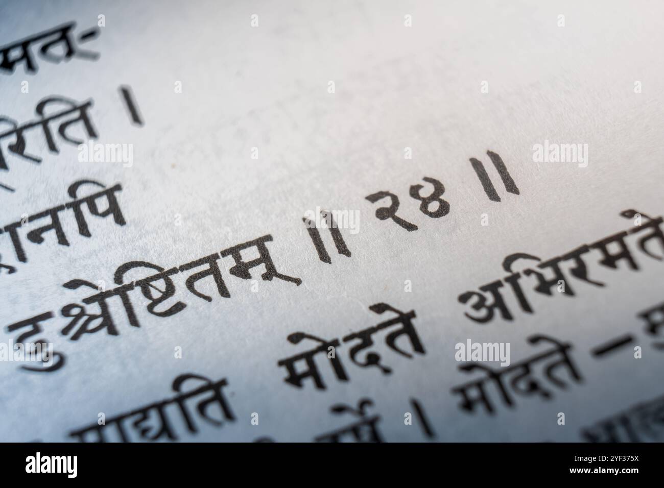 macro close up a an example of a sanskryt text, Devanagari script kavya ...