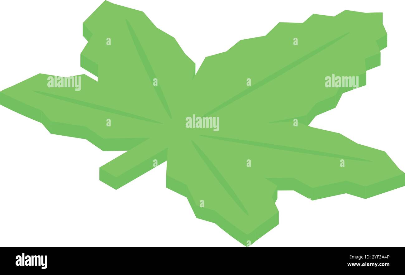 Green maple leaf rotating slowly, showcasing its intricate venation and ...