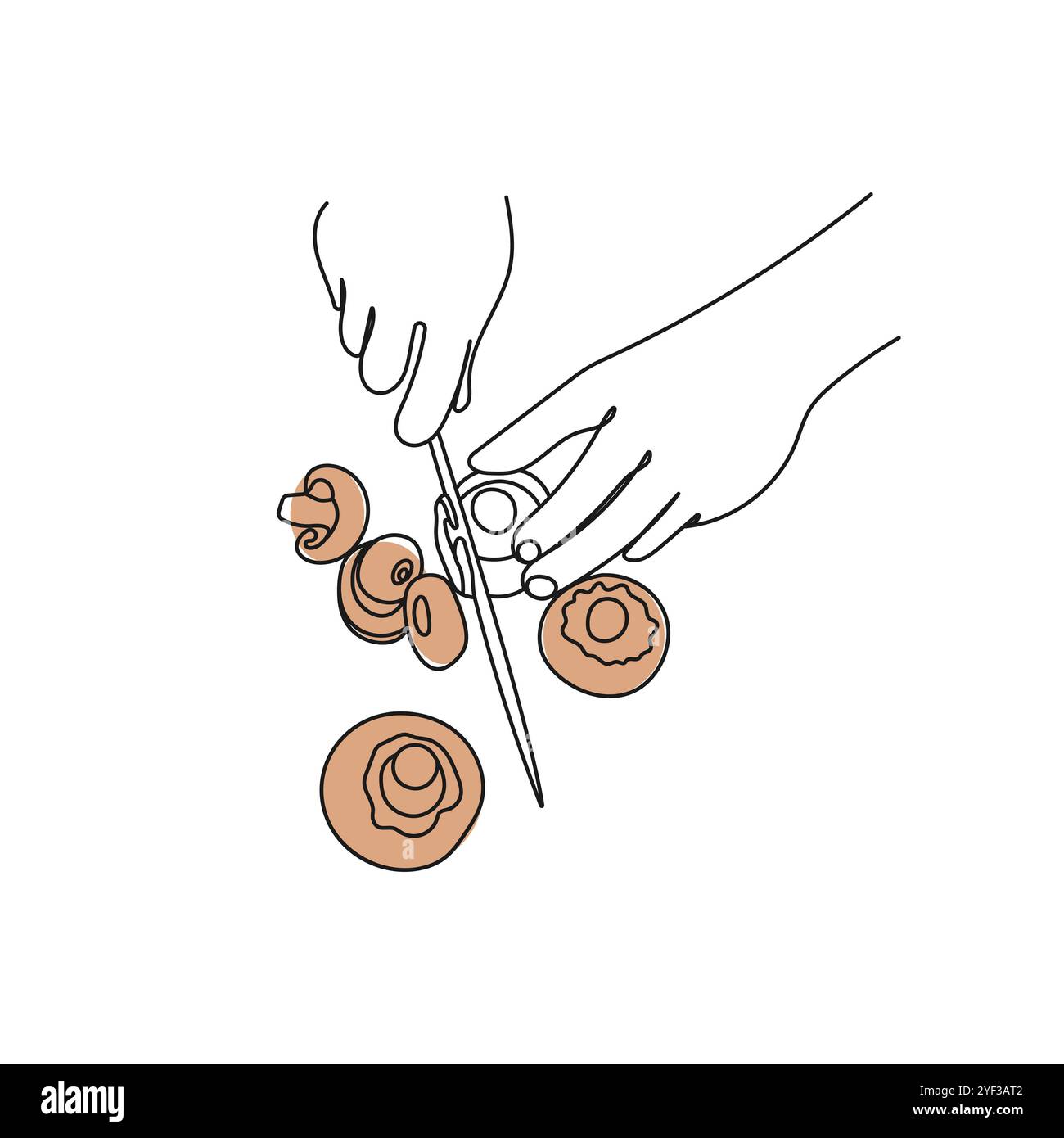 Human hands cut champignon mushrooms hi-res stock photography and ...