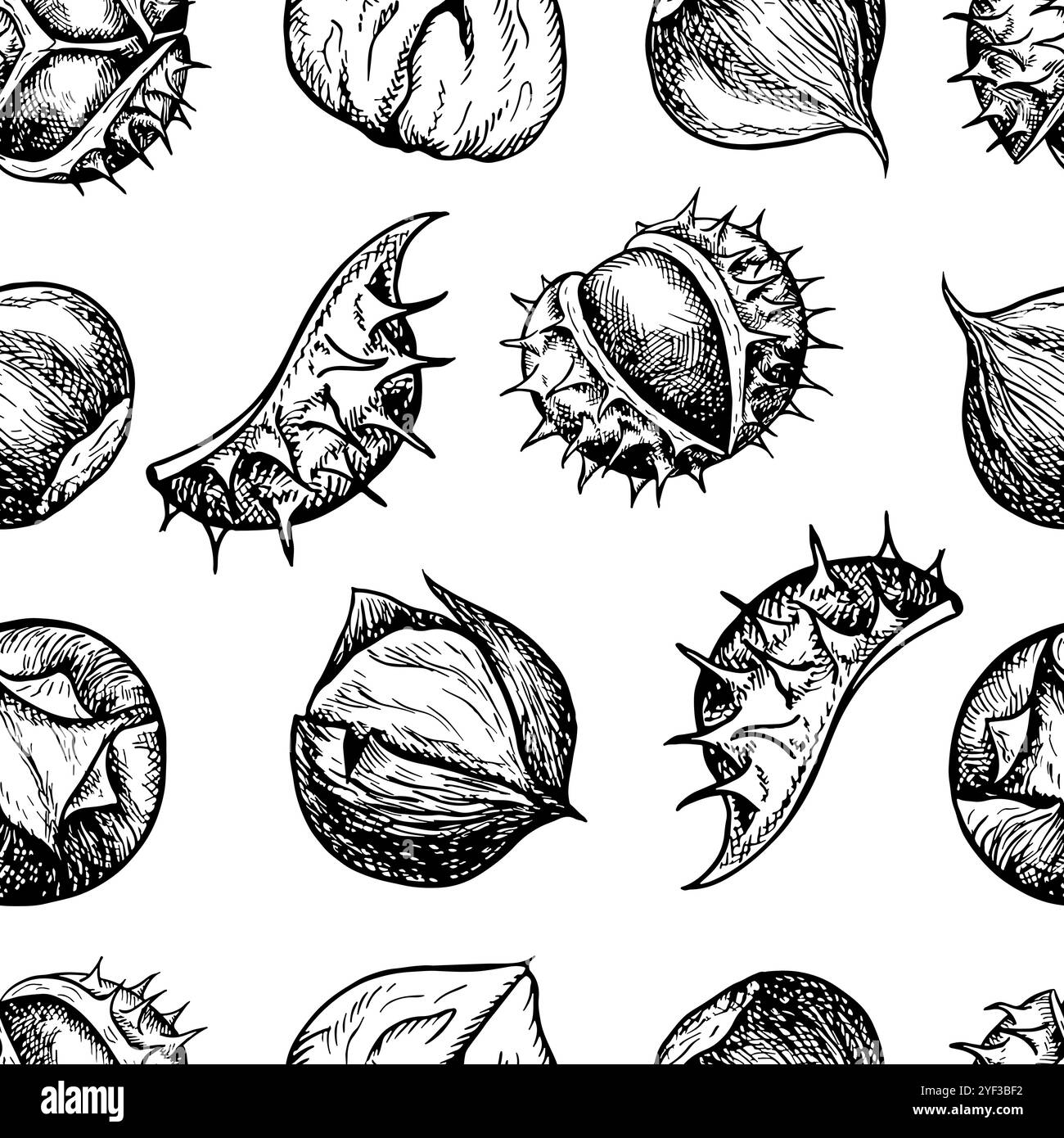 Seamless pattern with chestnut fruits. Vector graphics depicting ...