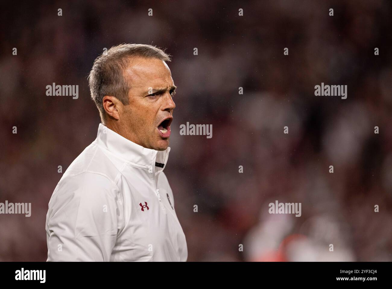 Columbia, SC, USA. 2nd Nov, 2024. South Carolina Gamecocks head coach ...