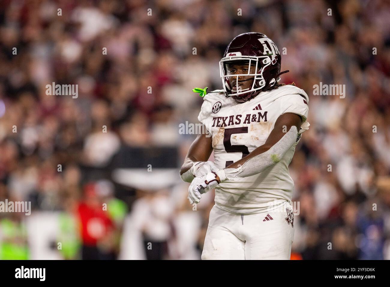 Columbia, SC, USA. 2nd Nov, 2024. Texas A&M Aggies running back Amari ...
