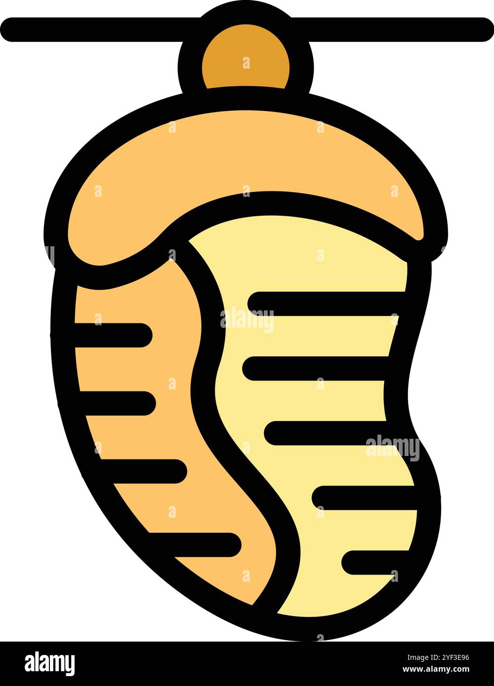 Illustrating different growth stages hi-res stock photography and ...