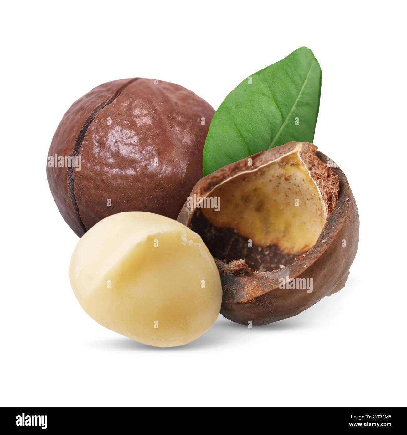 Macadamia nuts and green leaf on white background Stock Photo - Alamy