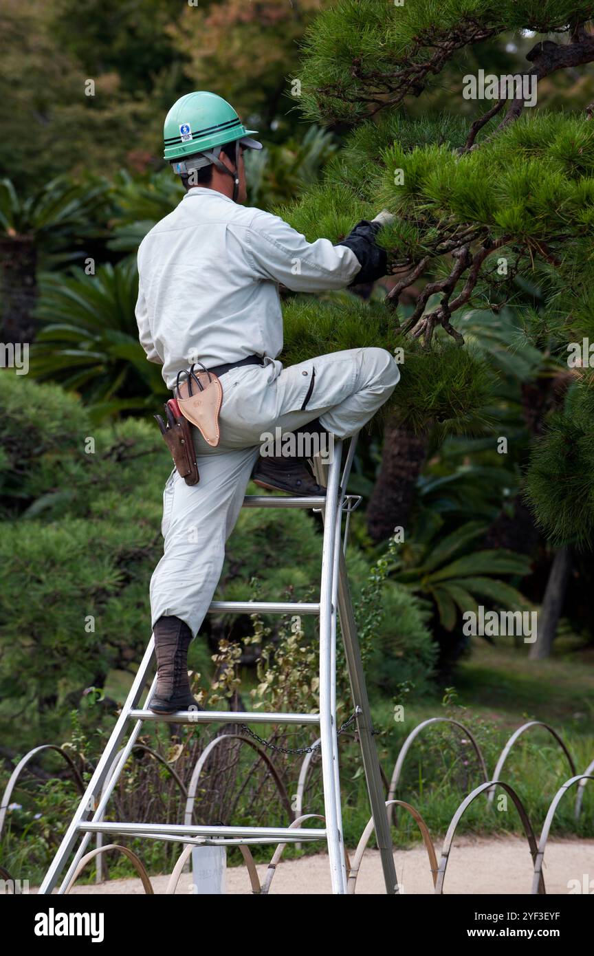 Okayama Korakuen Japanese garden in Okayama City, Japan Stock Photo - Alamy