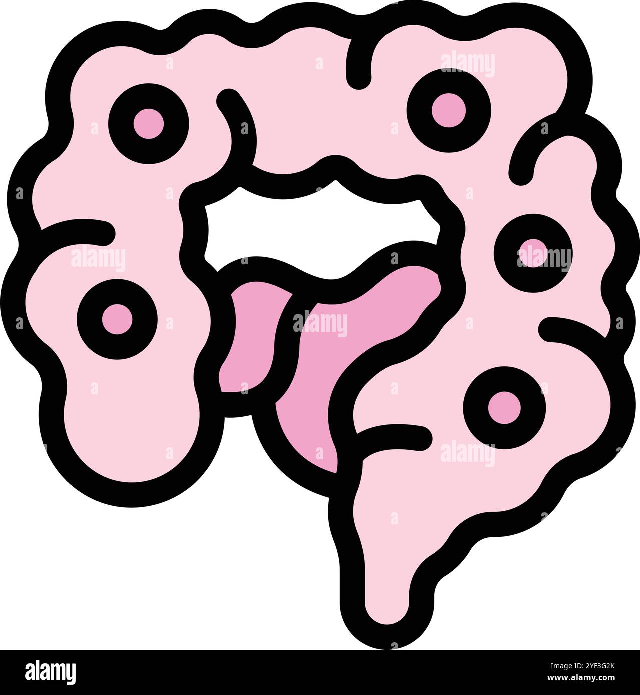 Large intestine endoscopy hi-res stock photography and images - Alamy