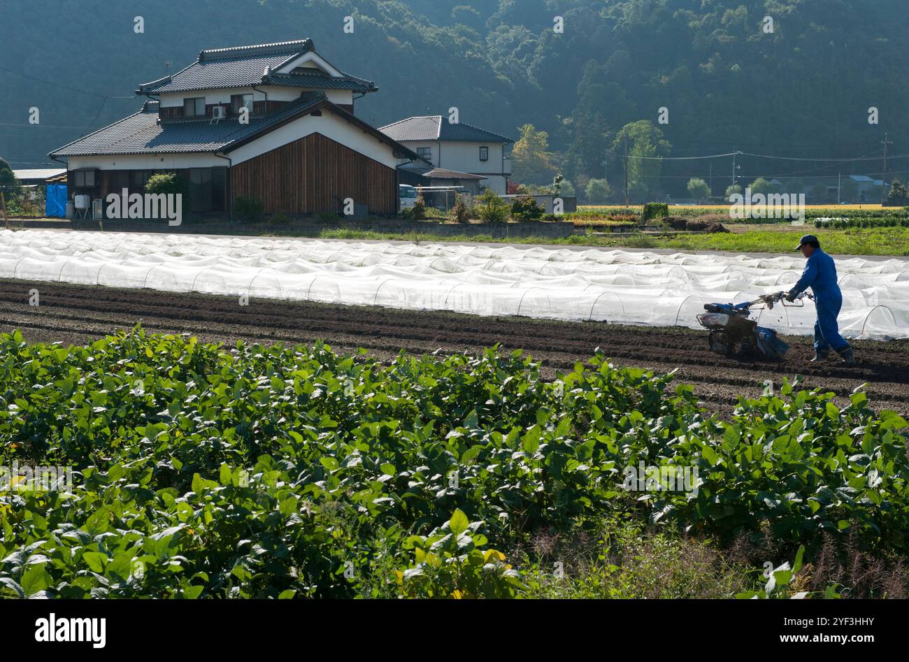 Farmer tilling field in the countryside of Okayama, Japan Stock Photo ...