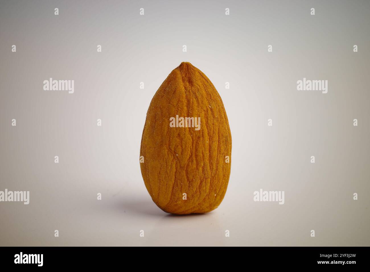 Single almond nut standing upright on a plain white surface Stock Photo ...