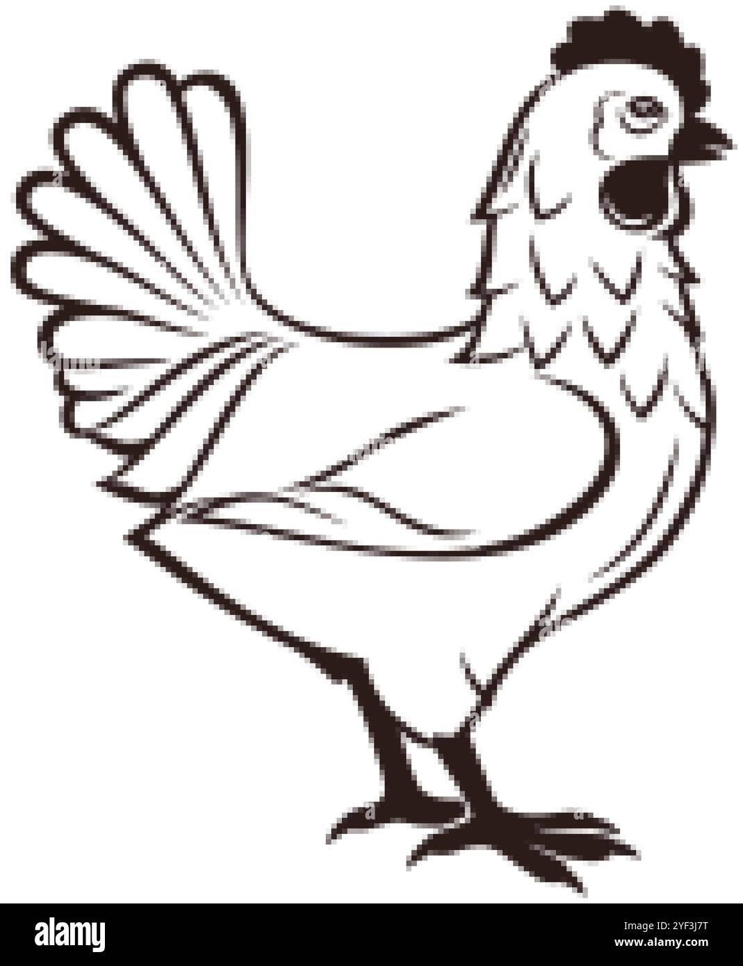 Chicken or Hen Drawn in Vintage Engraving. Female Farm Bird, Domestic ...