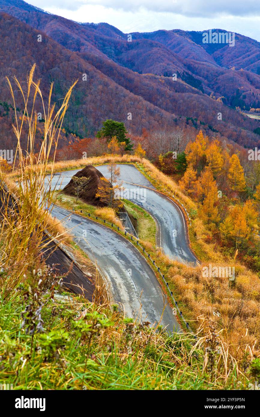 Autumn fall foliage Mountain at Bandai Azuma Skyline at Mt.Bandai in ...