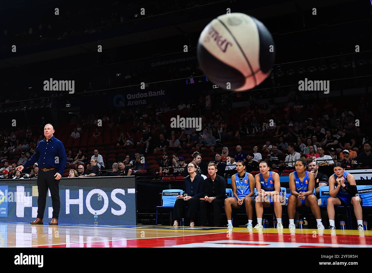 Sydney, Australia. 03rd Nov, 2024. Capitals coach Paul Goriss and ...