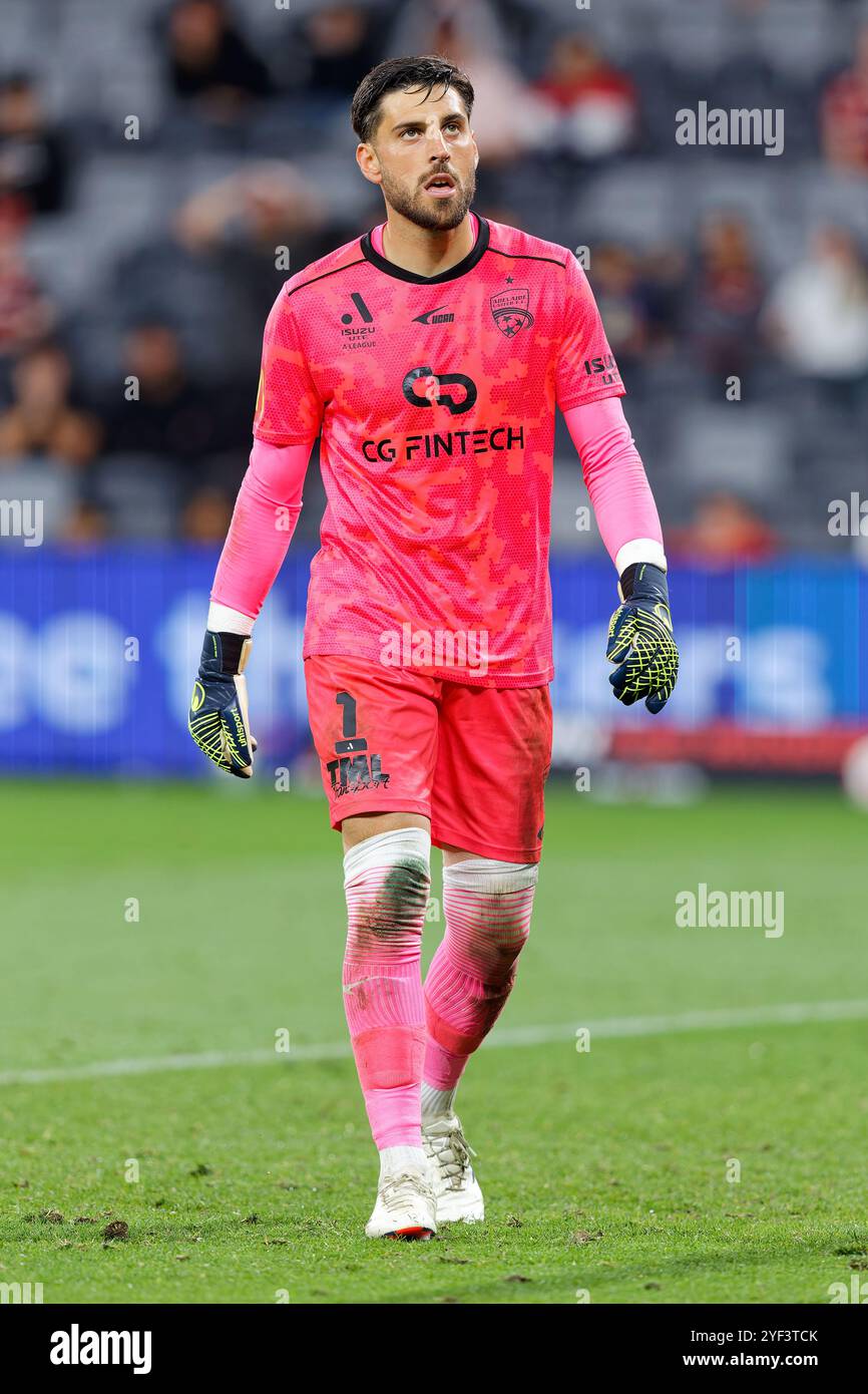 Goalkeeper, James Delianov of Adelaide United looks on during the A ...