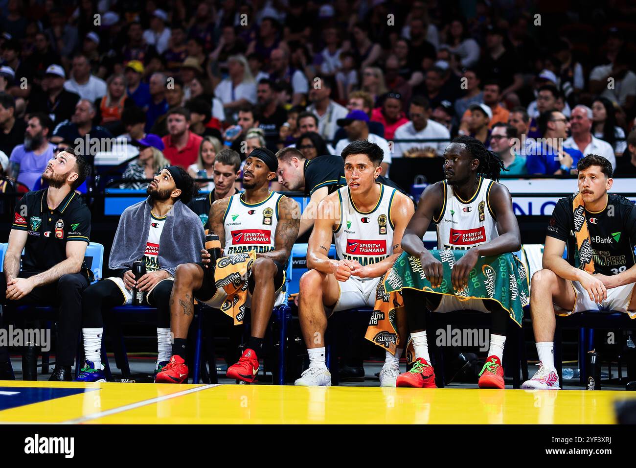 Sydney, Australia. 03rd Nov, 2024. The Jackjumpers bench look on during ...