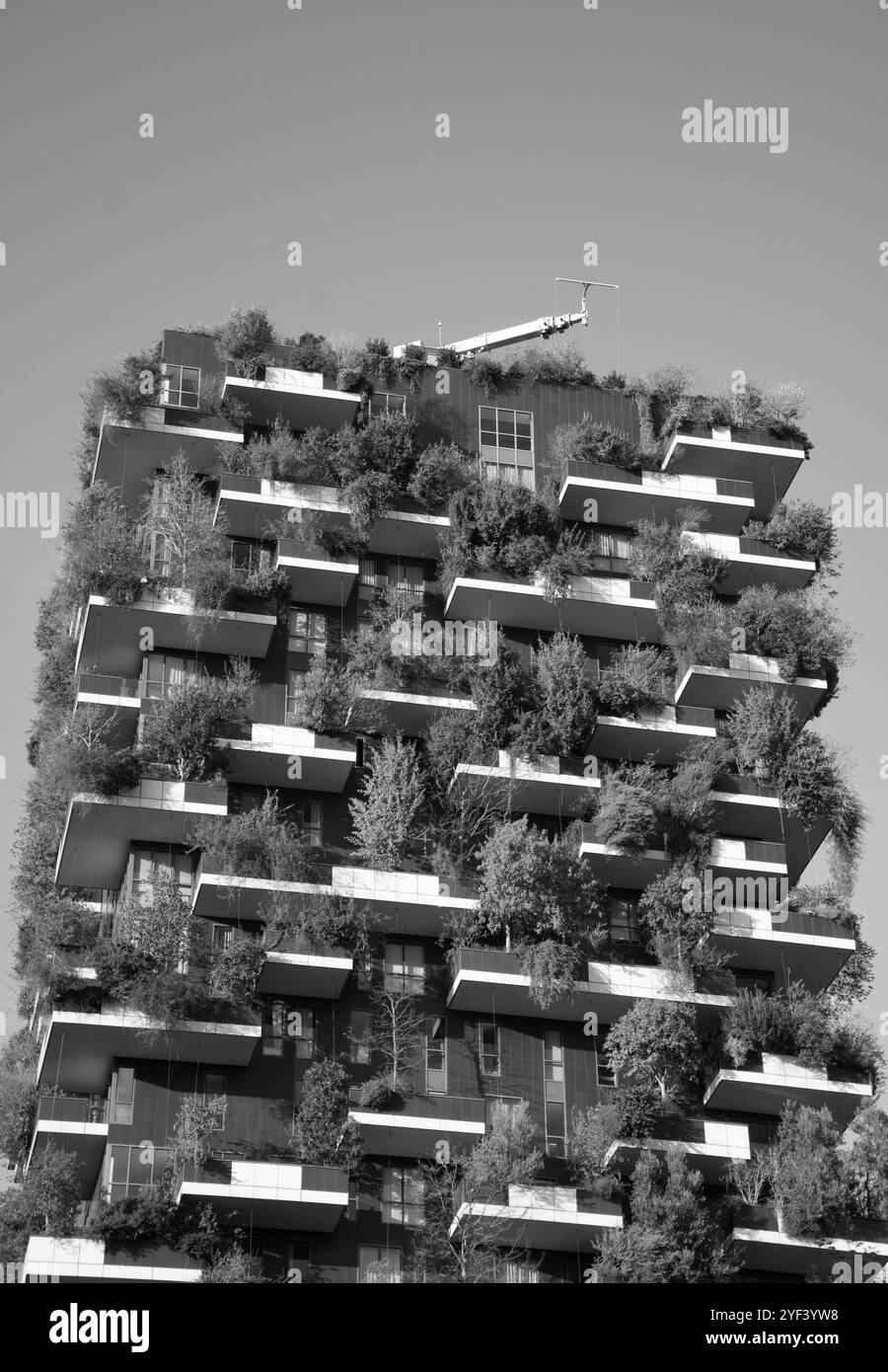 Milano , ITALIA - 02 nov - 2024 : The Bosco Verticale in Milan, two ...