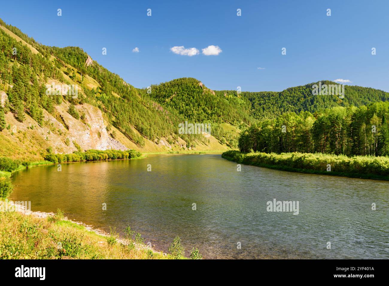 Awesome view of scenic river among evergreen woods Stock Photo - Alamy
