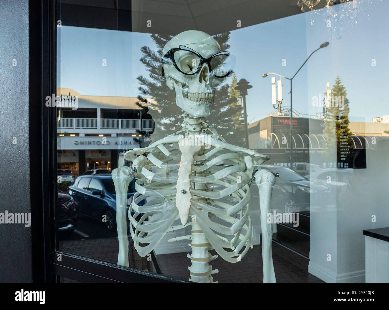 Skeleton with glasses on in the window of an optician at Coolangatta on ...
