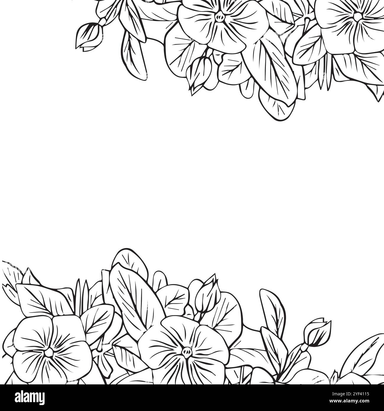 Frame of catharanthus flowers, floral arrangement with leaves as border ...